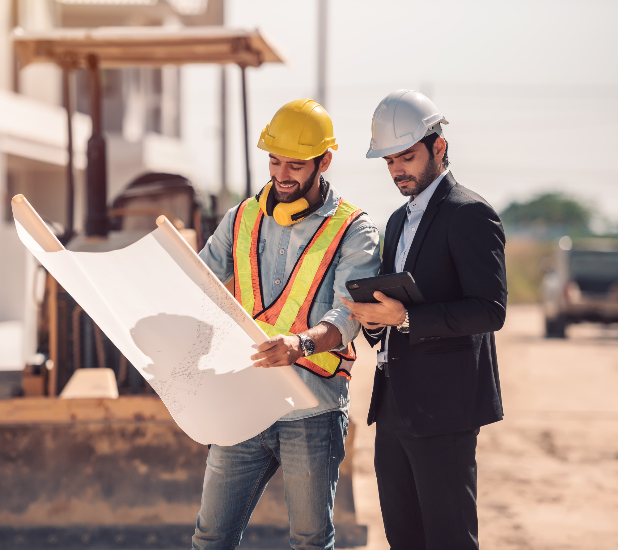 RVC Terrestrial Monitoring Program 2024 Interim Report - Wollongong ...